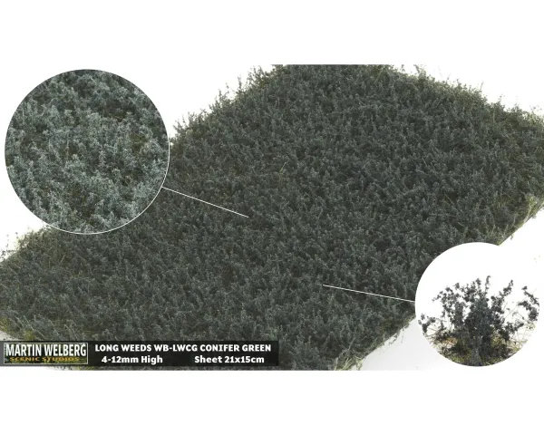 WEEDS HIGH CONIFER GREEN